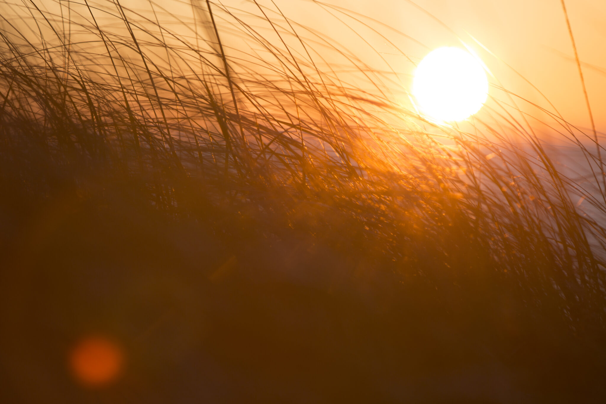 Here are Southwest Michigan’s best destinations for fall colors, bird ...