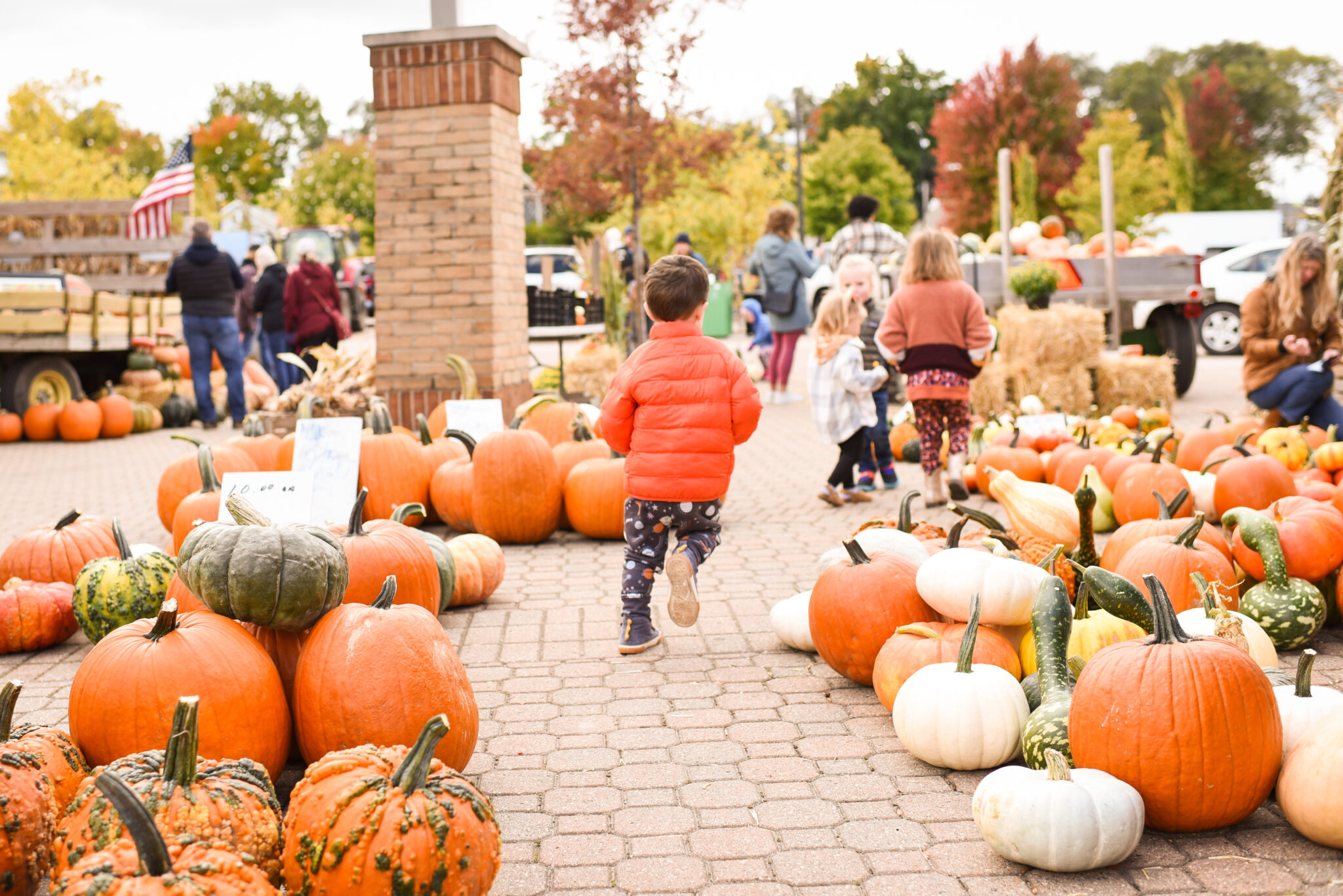 Harvest Holland This Fall - Michigan Beachtowns