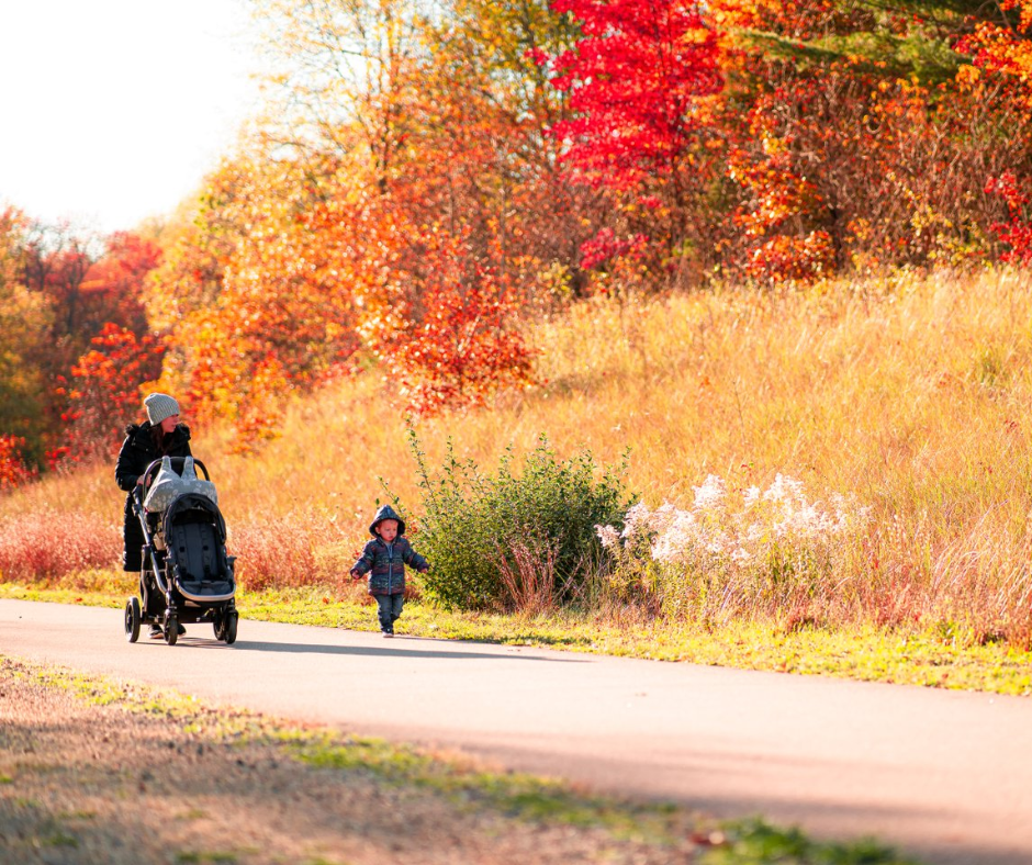 Top 10 Autumn Adventures in South Haven - Michigan Beachtowns