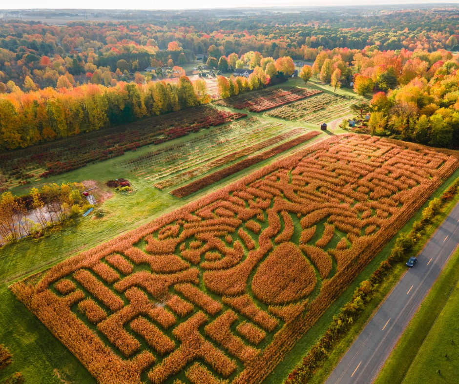 Top 10 Autumn Adventures in South Haven - Michigan Beachtowns