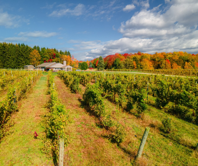 Top 10 Autumn Adventures in South Haven - Michigan Beachtowns