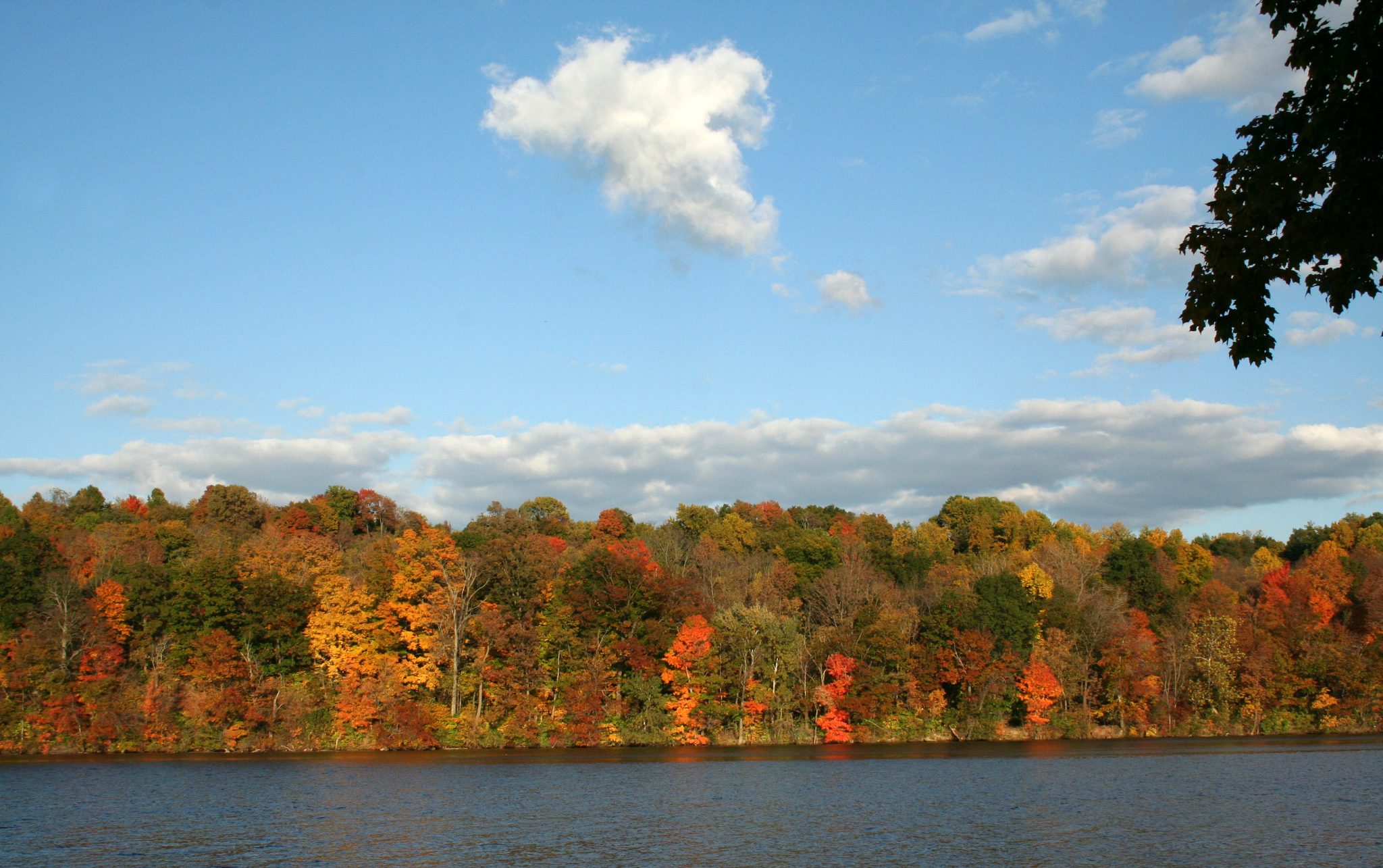 Top 8 Free Fall Activities in Southwest Michigan - Michigan Beachtowns